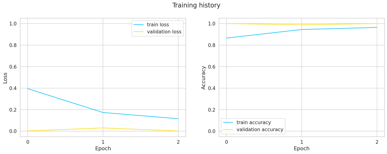 Transfer Learning for Image Classification using Torchvision, Pytorch ...