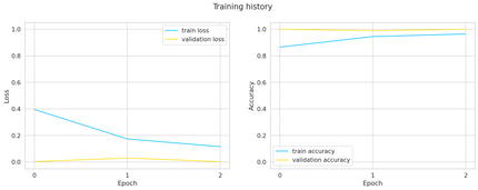 Transfer Learning for Image Classification using Torchvision, Pytorch ...