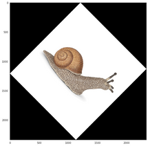 OpenCV Tutorial for Beginners with Python | Curiousily - Hacker's Guide ...