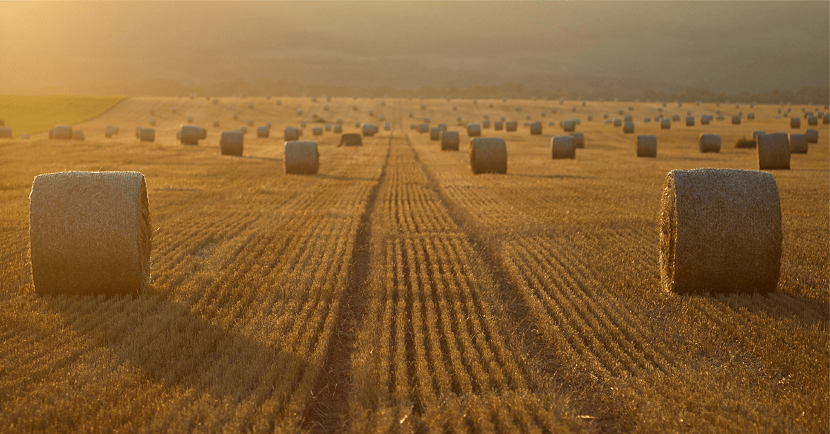 Hacker's Guide to Data Preparation for Machine Learning | Curiousily ...