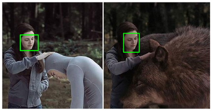 Face Detection on Custom Dataset with Detectron2 and PyTorch using Python | Curiousily - Hacker ...