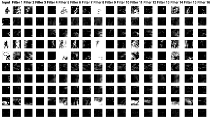 Alien vs Predator image classification using Deep Convolutional Neural ...